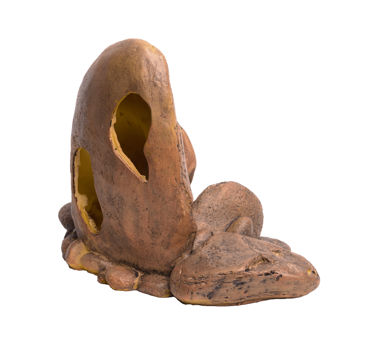 Купить экзотических животных в зоомагазине в Москве: интернет-магазин ...